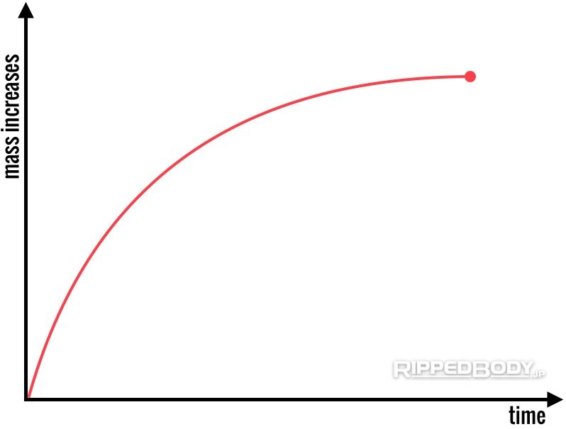 How to Bulk Without Getting Fat | Rippedbody.com