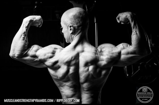 Rippedbody.com | The best nutrition and training guides on the internet