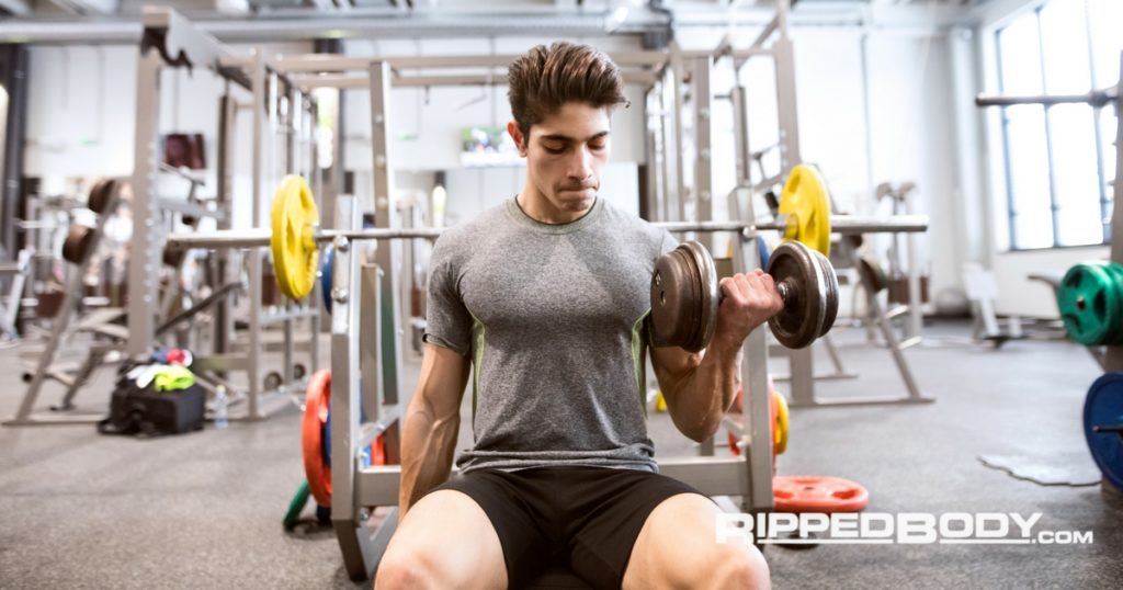 The Novice Bodybuilding Program | RippedBody.com The Novice Bodybuilding Program | RippedBody.com