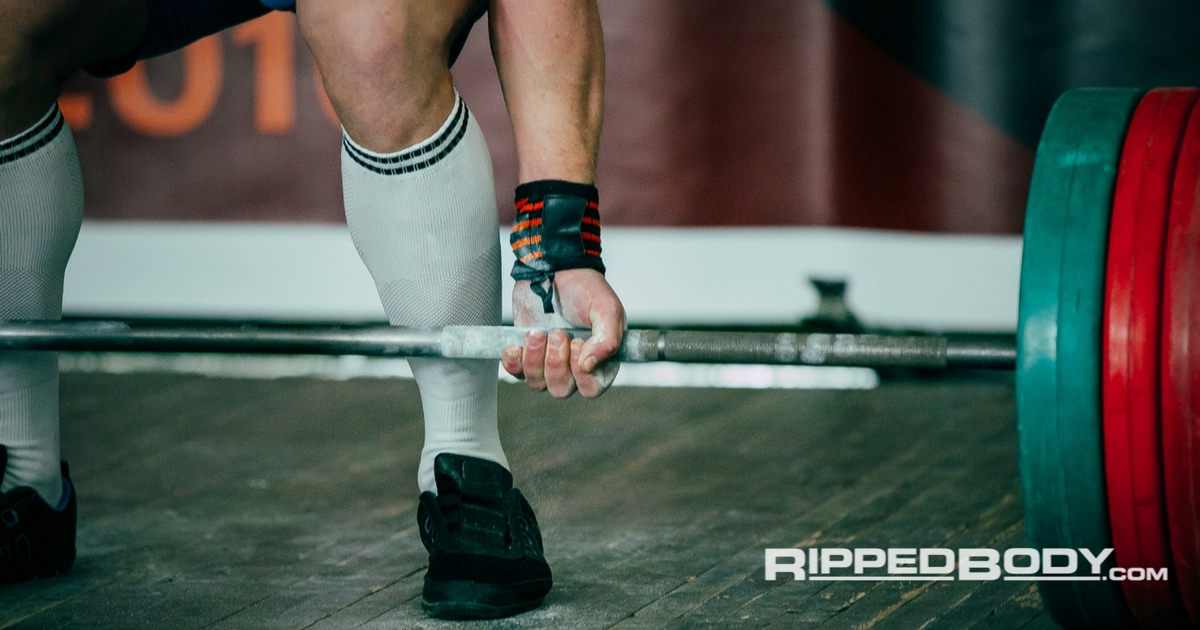 The Novice Powerlifting Program | RippedBody.com