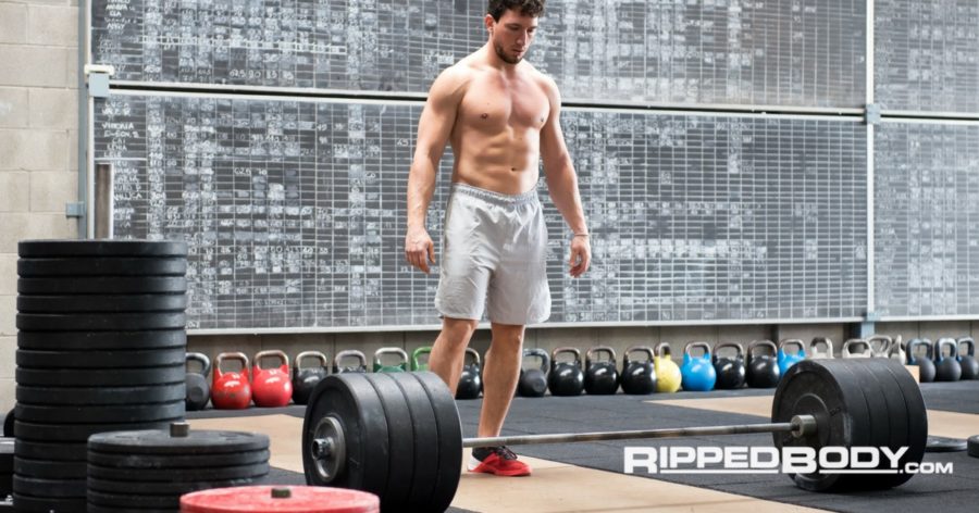 Training Programs and Routines - Ripped Body