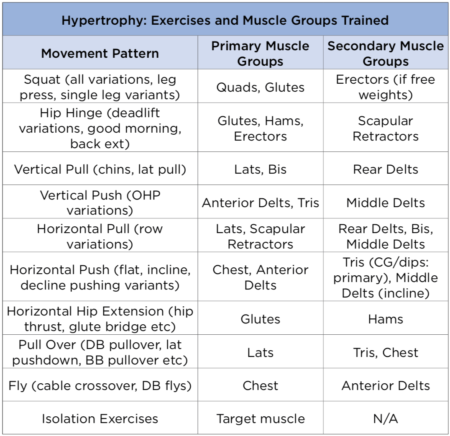How to Make a Workout Plan for Strength Training in 6 Steps