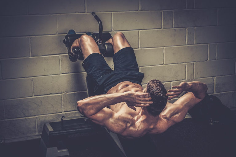 The Intermediate Bodybuilding Program - Ripped Body The Intermediate Bodybuilding Program - Ripped Body