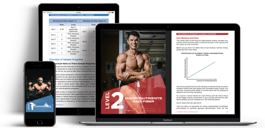 The Intermediate Bodybuilding Program - Ripped Body