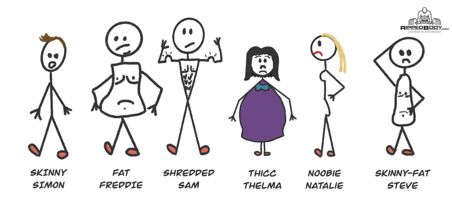 Should I Bulk vs Cut? The Definitive Guide | RippedBody.com