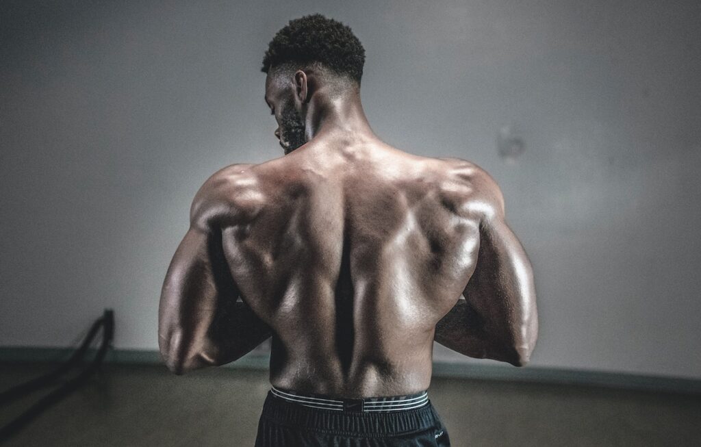 The Best Nutrition Guides on the Internet - Ripped Body®