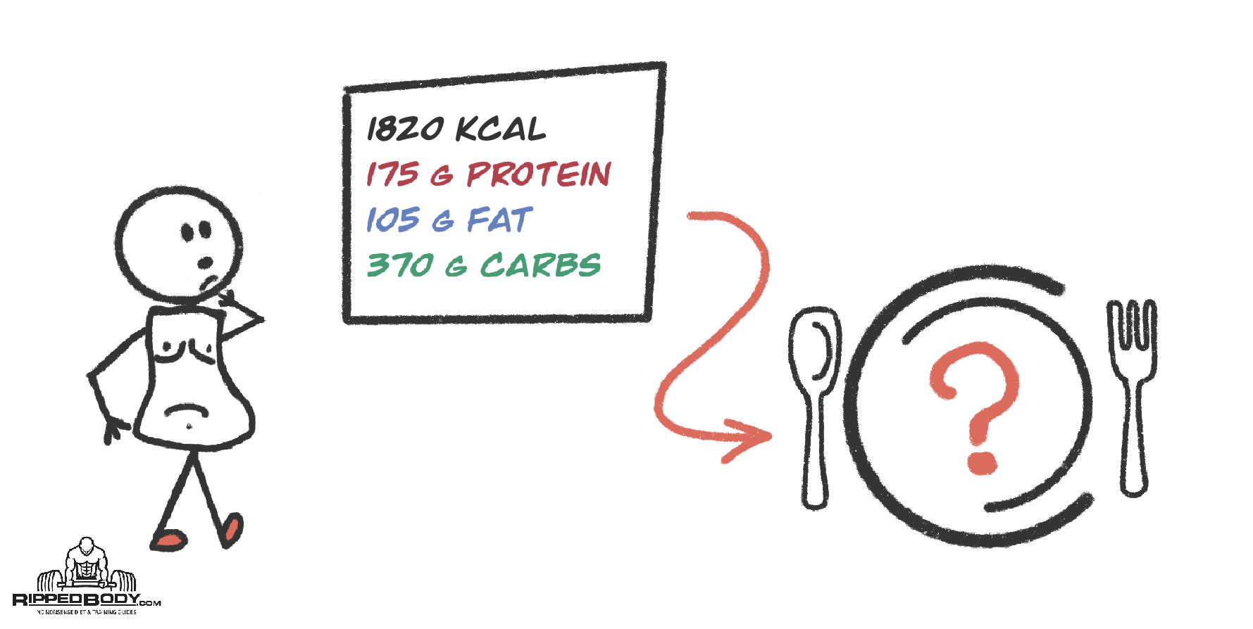 How To Count Macros and Make Meals | The Essential Guide