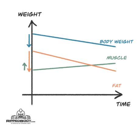 Should I Bulk vs Cut? The Definitive Guide | RippedBody.com
