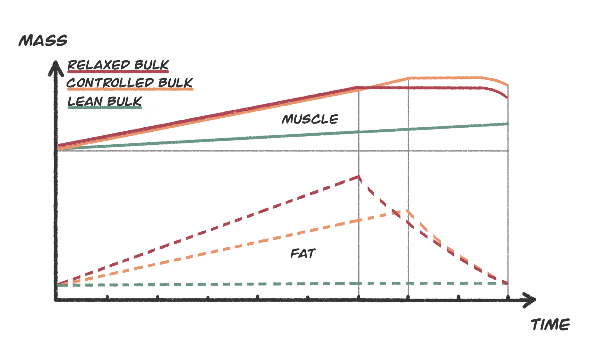 How to Bulk Up Without Getting Fat — The Skinny Guys Guide To Bulking
