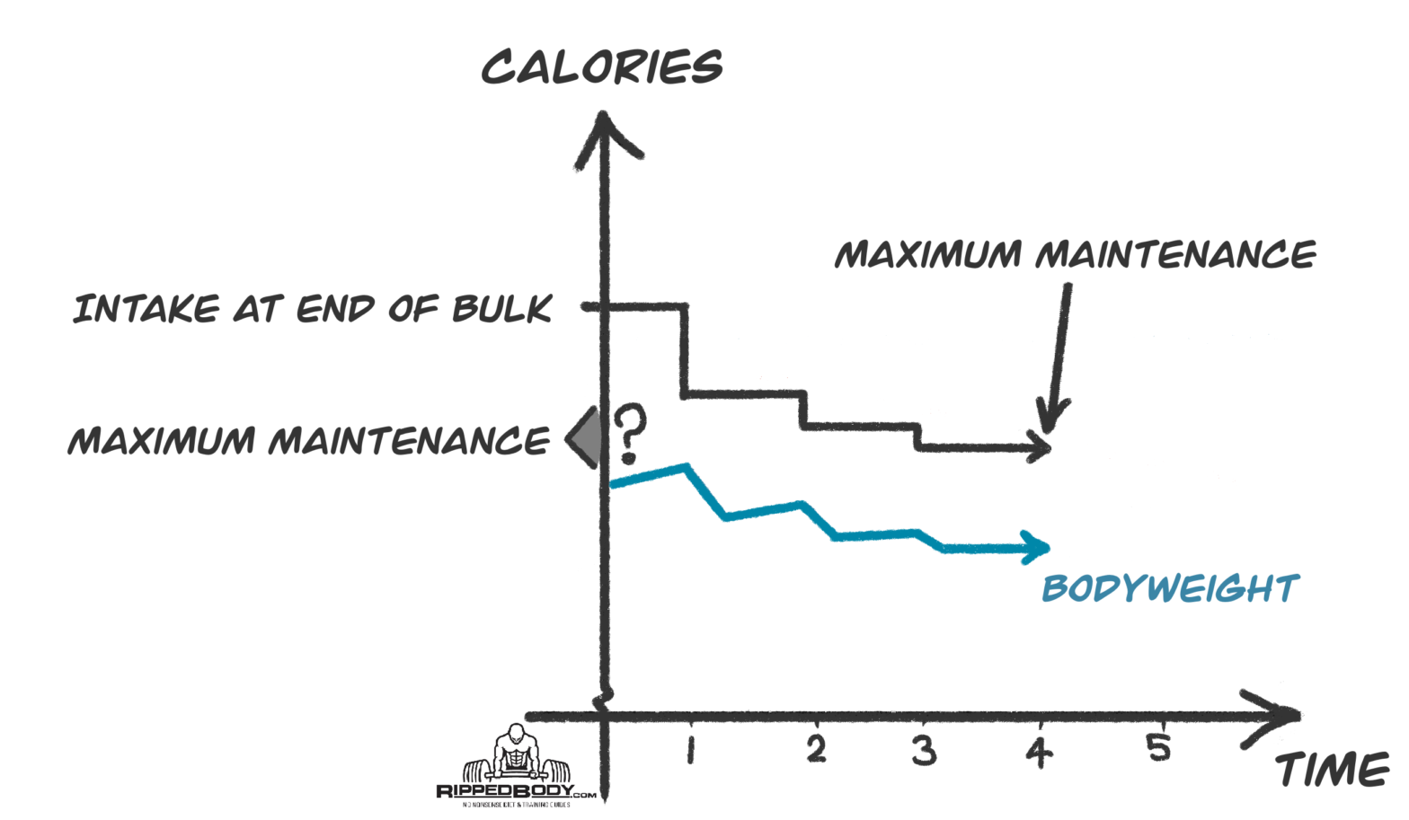 How to Find Maintenance Calories After Dieting (or Bulking)