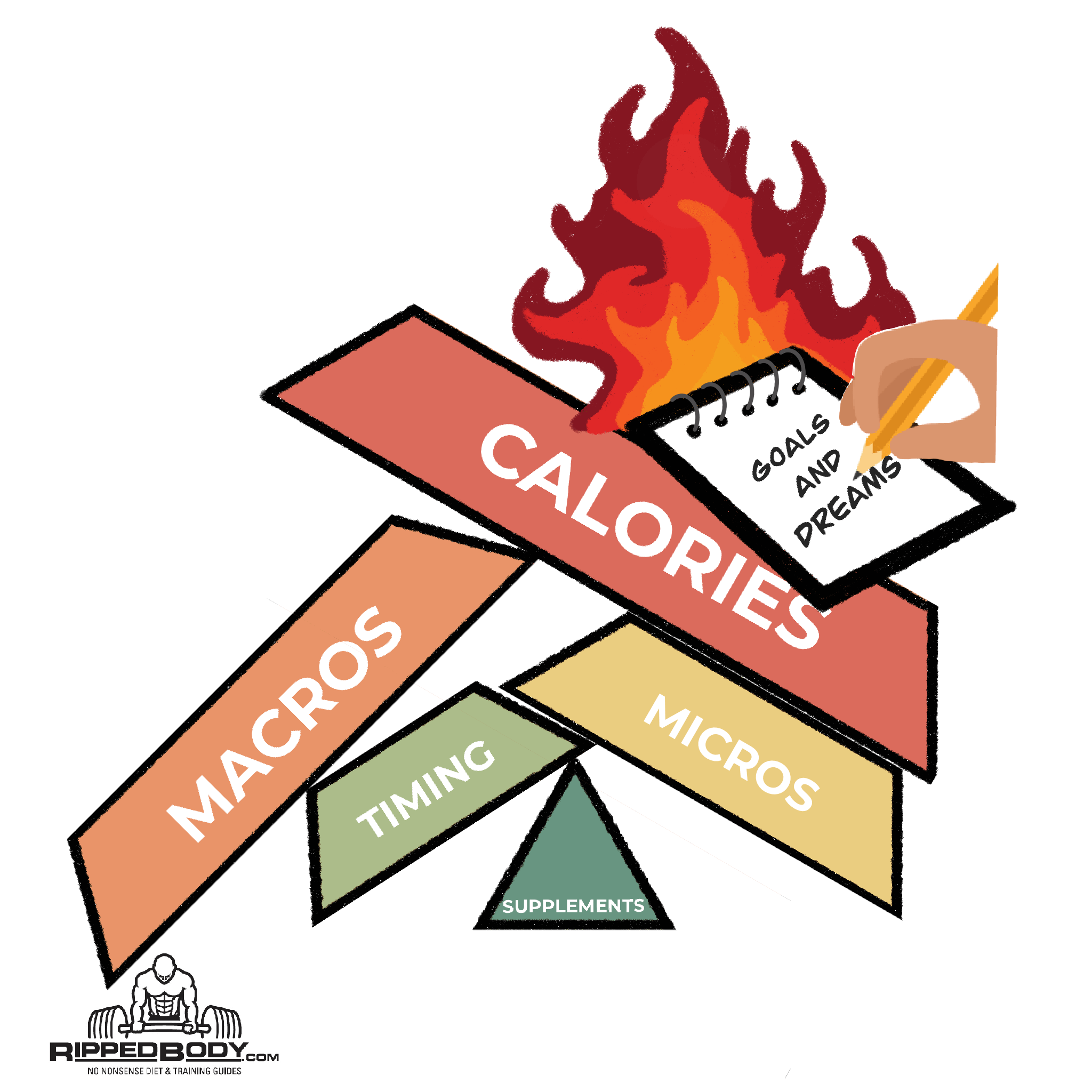 The Nutrition Hierarchy of Importance - Overview