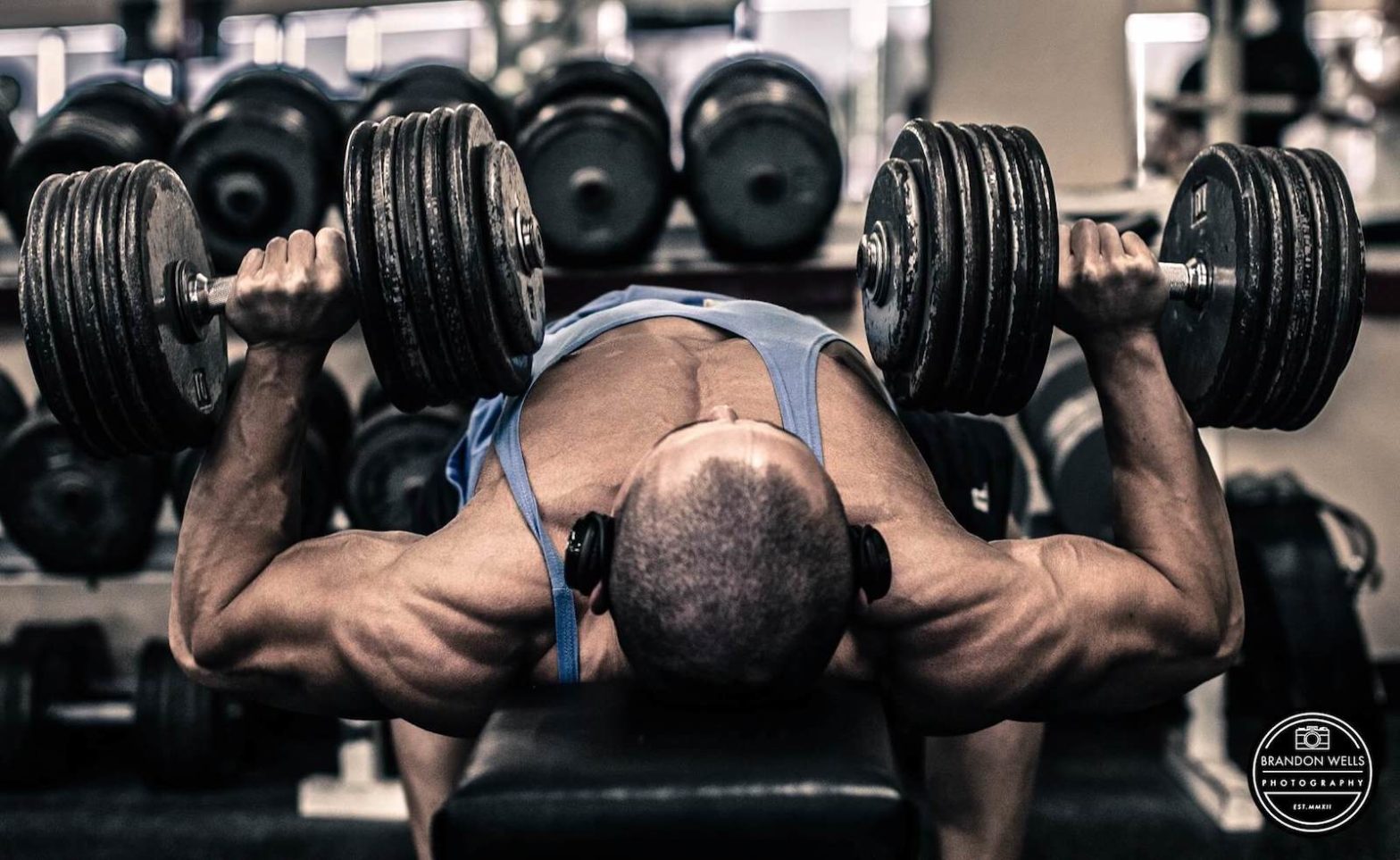 The Muscle and Strength Pyramids, Sample Chapters