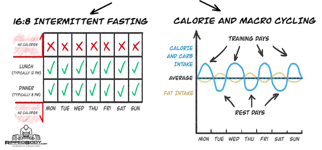 The RippedBody Leangains Guide
