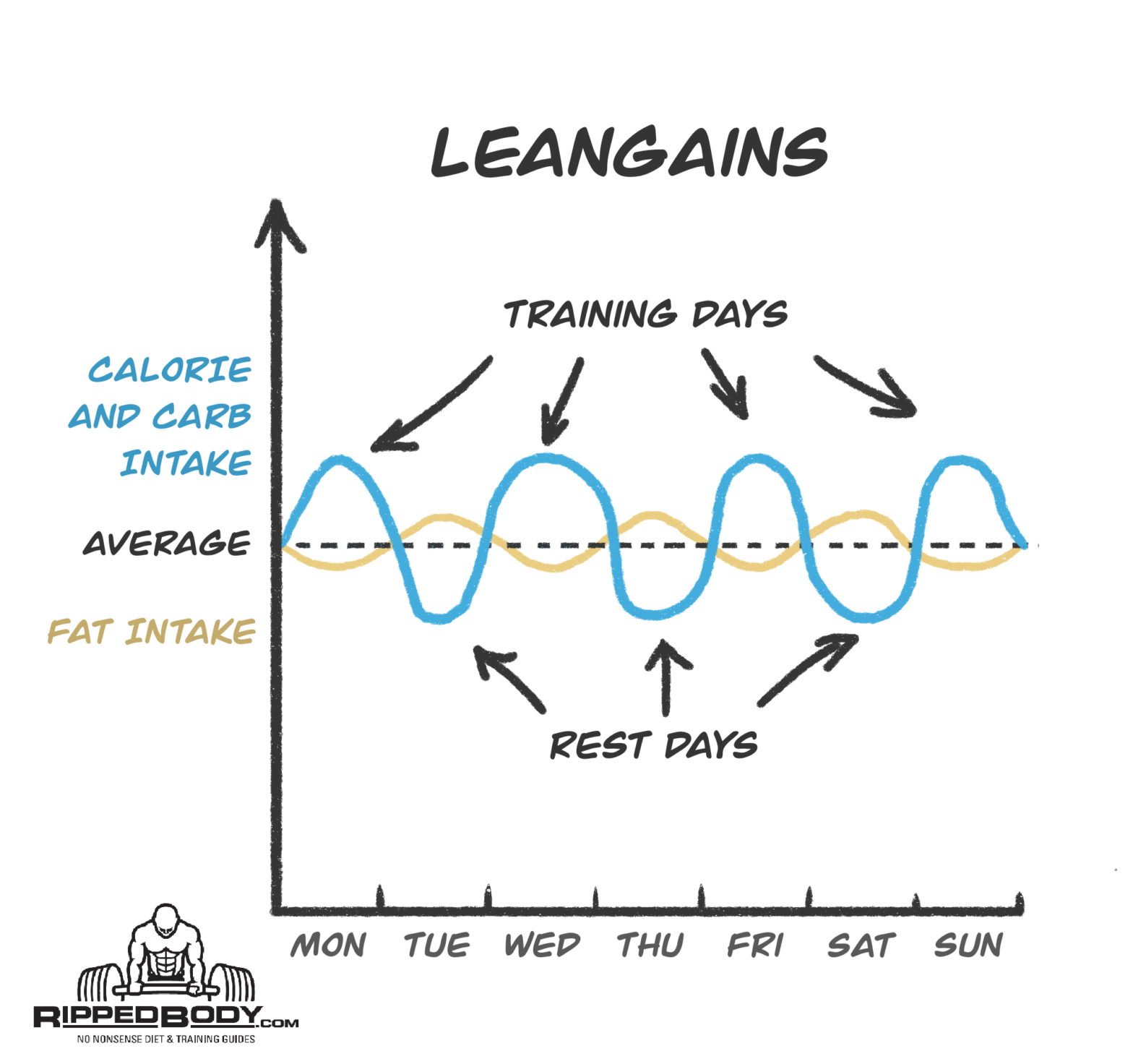 A Nutrient Timing Guide To Maximize Fat Loss and Muscle Growth