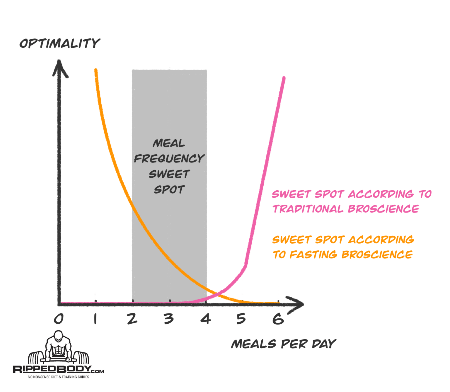 A Nutrient Timing Guide To Maximize Fat Loss and Muscle Growth