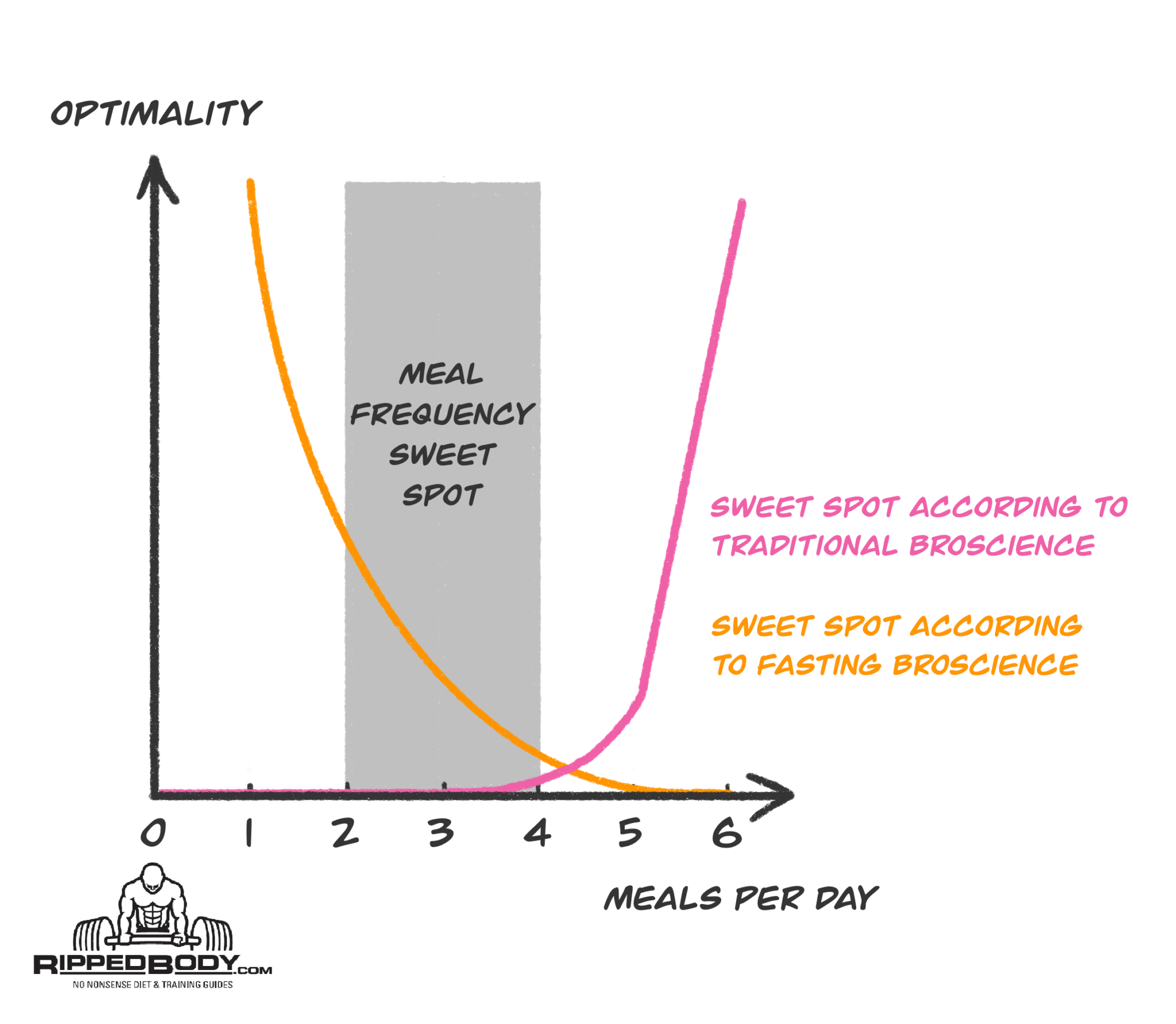 A Nutrient Timing Guide To Maximize Fat Loss and Muscle Growth