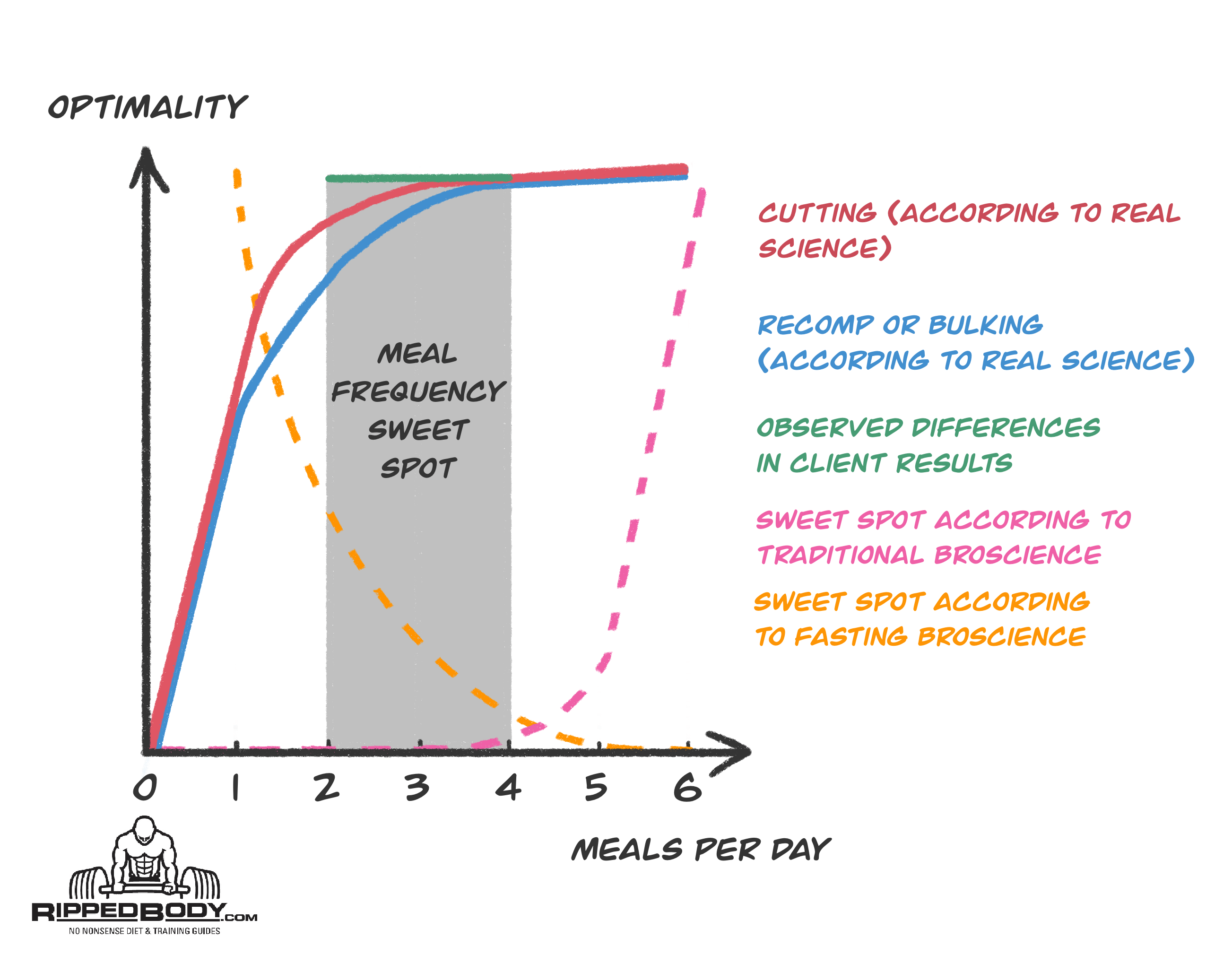 How To Count Macros and Make Meals | The Essential Guide