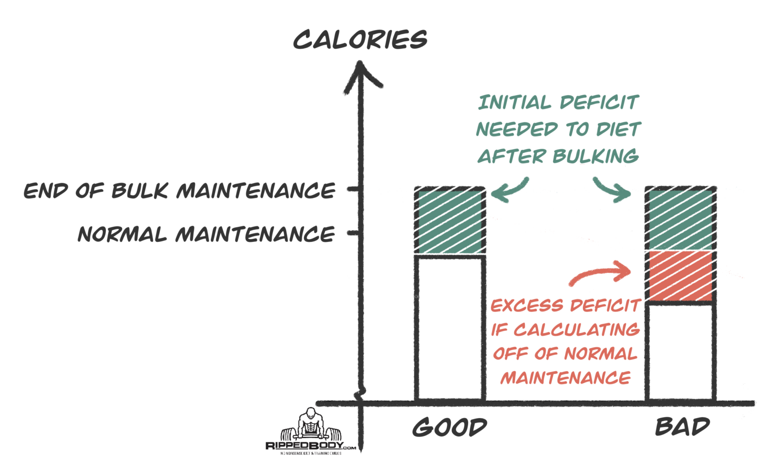 Don't Use A Calorie Calculator When You Transition Between Bulking and ...