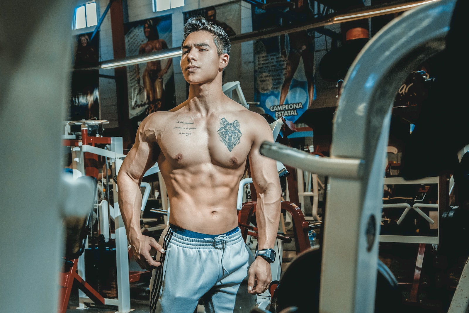 The Best Nutrition Guides on the Internet - Ripped Body®