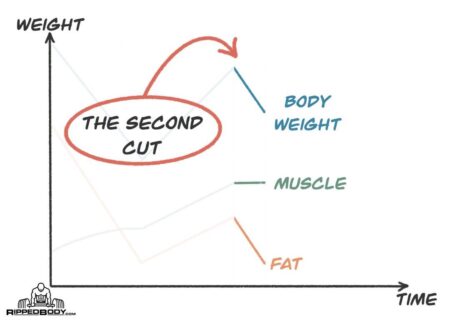 How Bulk and Cut Cycles Should Look - Ripped Body®