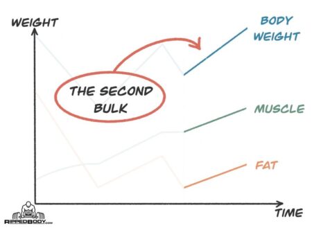 How Bulk and Cut Cycles Should Look - Ripped Body®