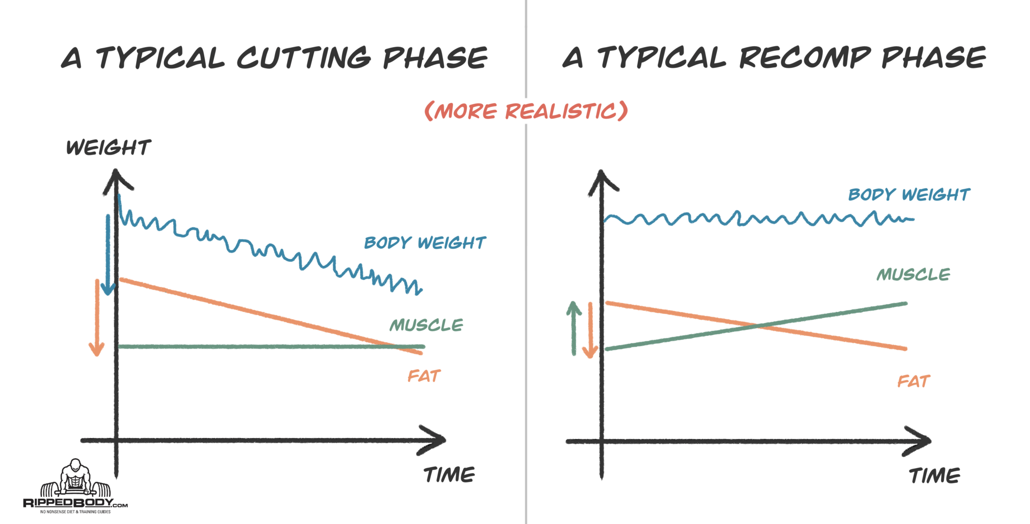 Why is My Weight Going Up and Down While Dieting - Ripped Body®