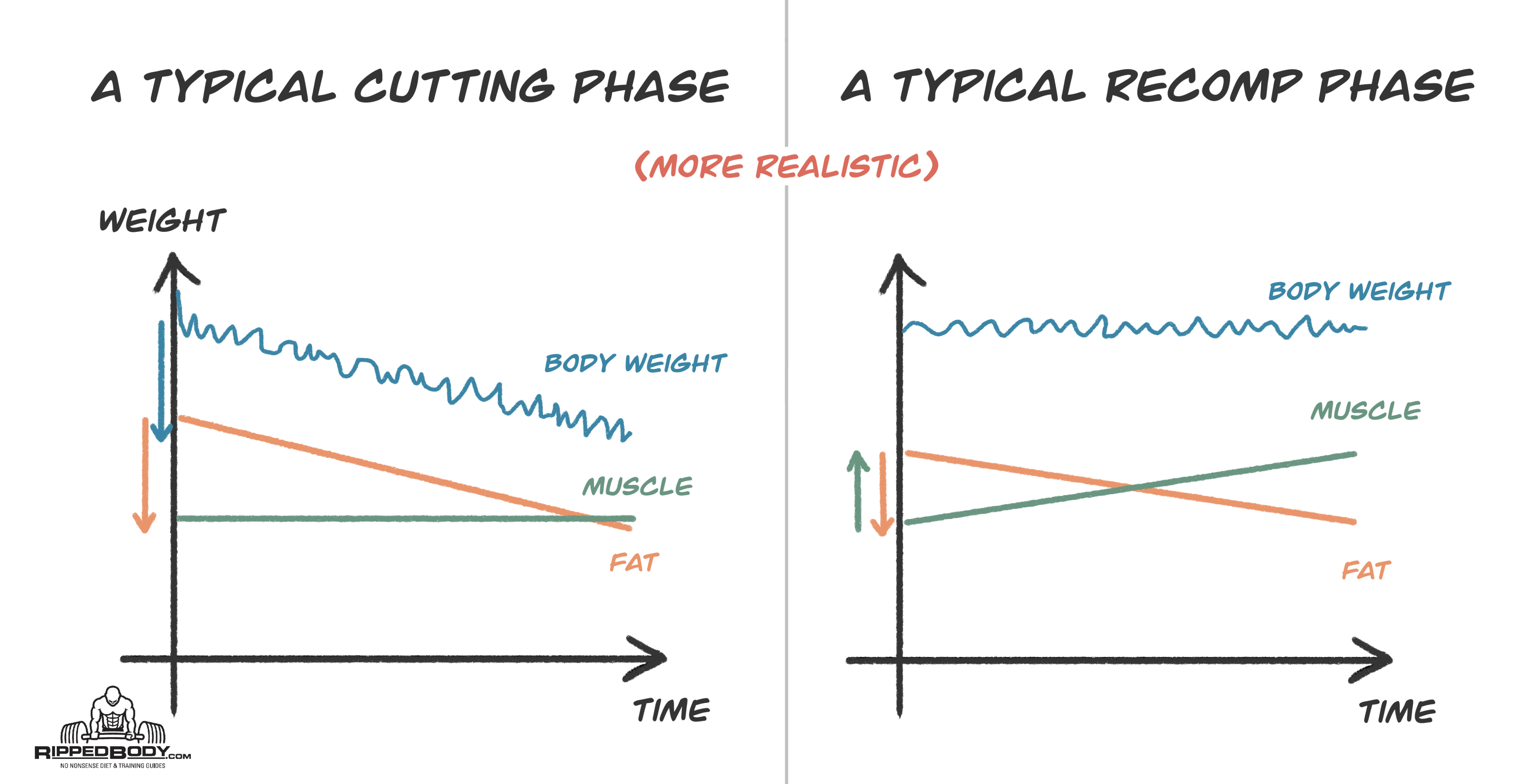 Why is My Weight Going Up and Down While Dieting - Ripped Body®