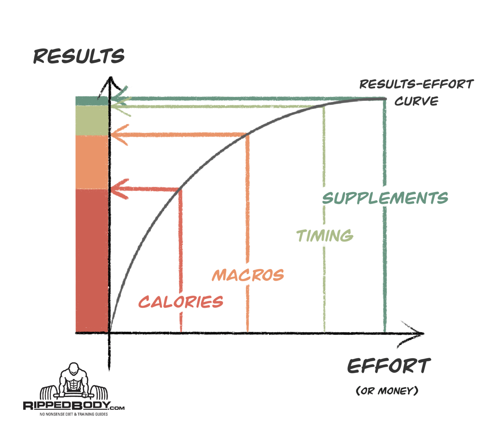 The Nutrition Hierarchy of Importance - Overview