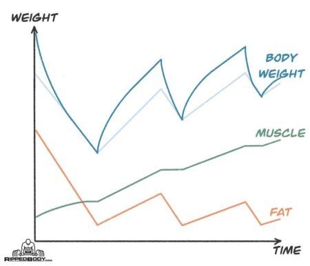 How Bulk and Cut Cycles Should Look - Ripped Body