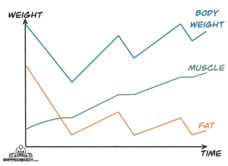 How Bulk and Cut Cycles Should Look - Ripped Body