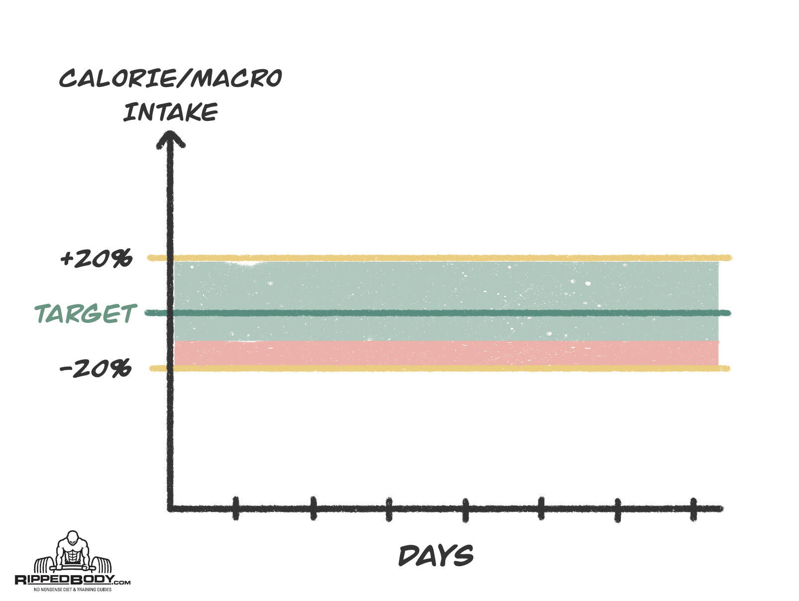 How To Count Macros and Make Meals | The Essential Guide