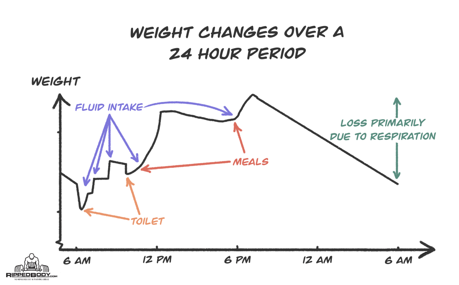 Why is My Weight Going Up and Down While Dieting - Ripped Body®
