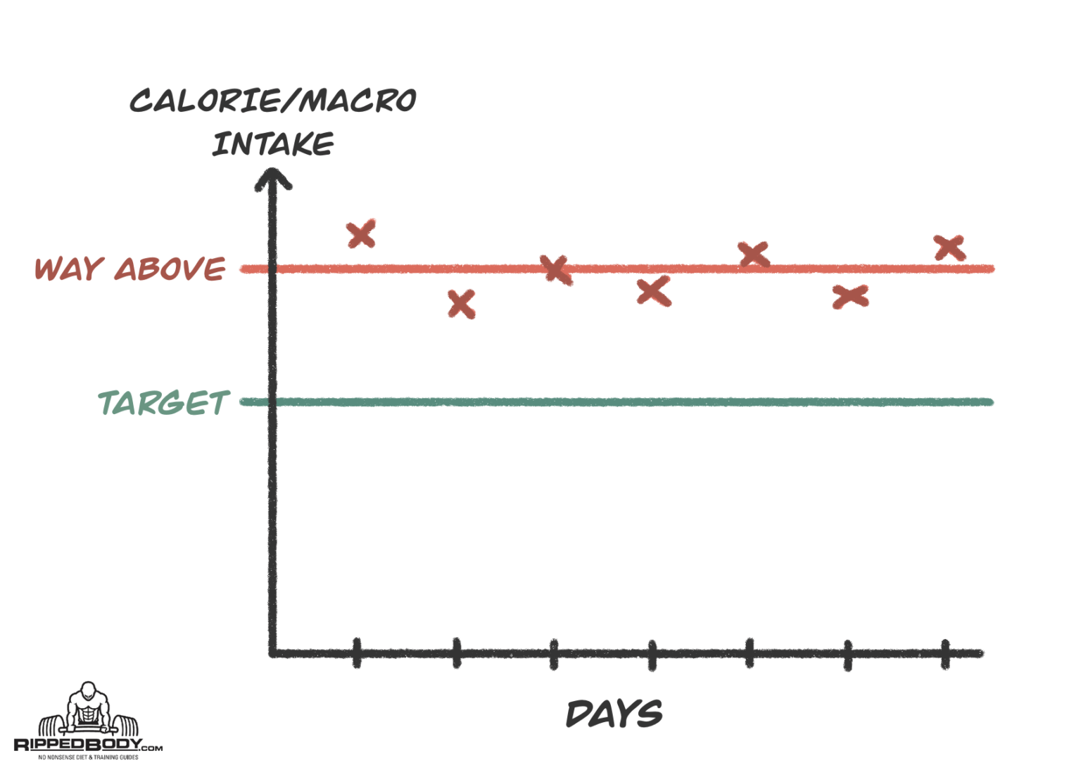 How To Count Macros and Make Meals | The Essential Guide