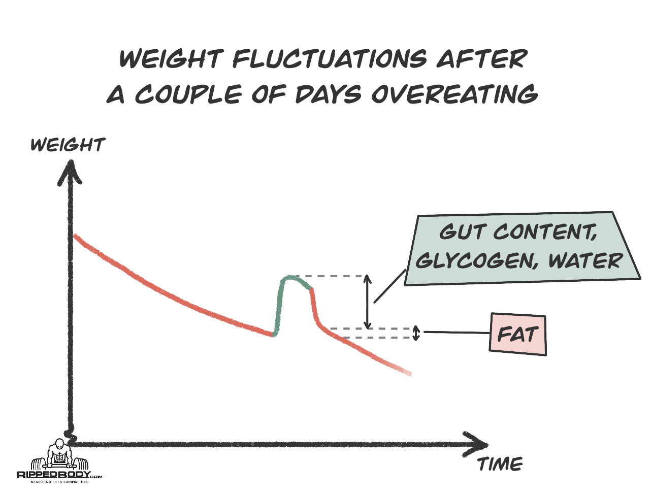 Why is My Weight Going Up and Down While Dieting - Ripped Body®