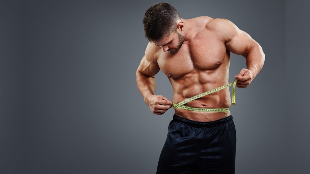 The Best Nutrition Guides on the Internet - Ripped Body