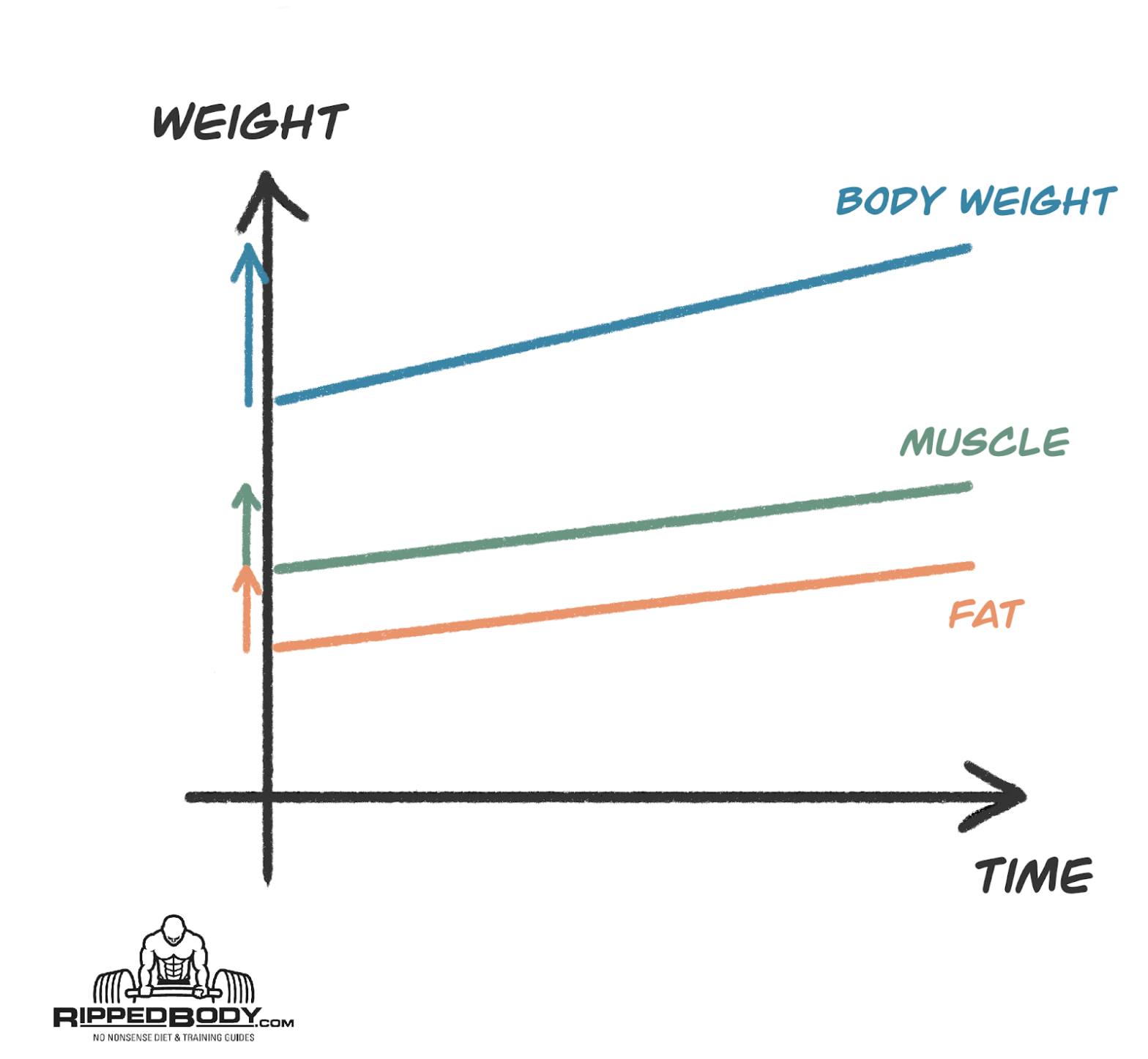 How To Escape The Skinny-Fat Trap - Ripped Body®